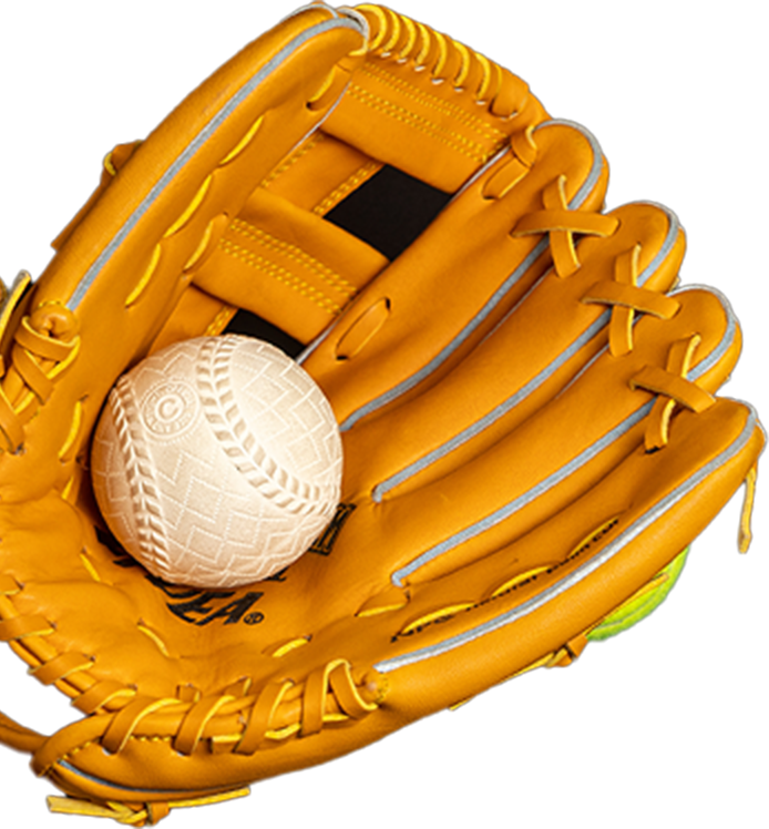 機構概要 | IPBL Japan